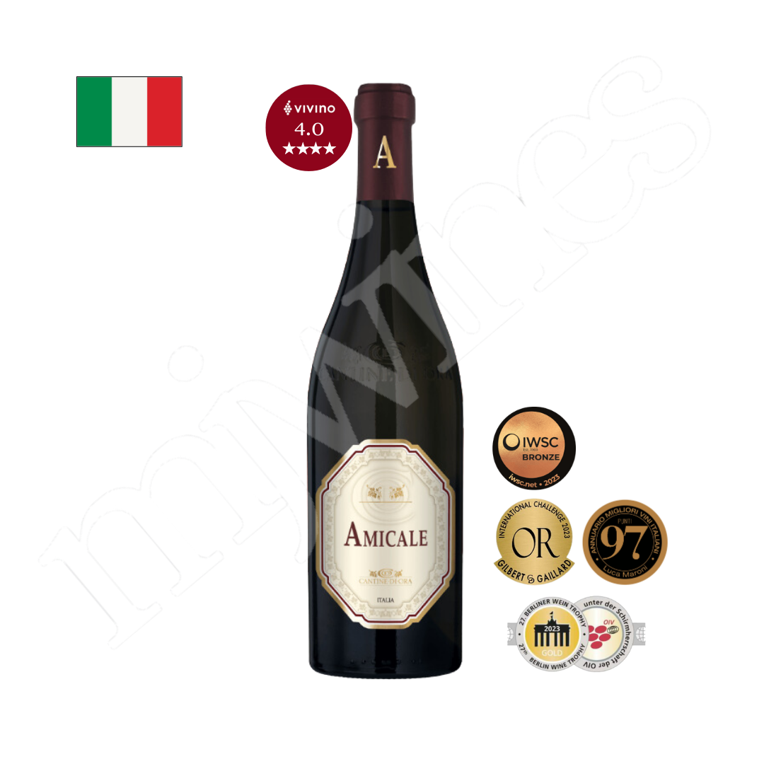 Amicale Rosso Veneto IGT Red Wine 750ml – MJ Wines International Pte Ltd